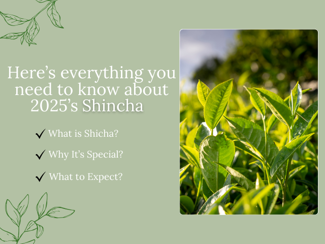 What to Expect from Japan’s 2025 Shincha Season 🌱 – Hokusan Tea Canada